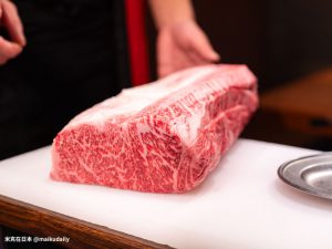 大阪燒肉推薦「燒肉力丸」嚴選高質和牛、牛舌吃到飽！梅田附近超方便 - 米克在日本